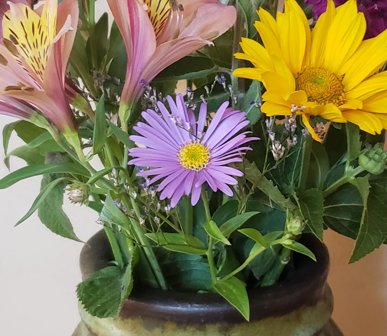 Asters: Easy for Cut Flowers and Pollinators Too!