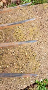 Get a good digging fork for growing flowers