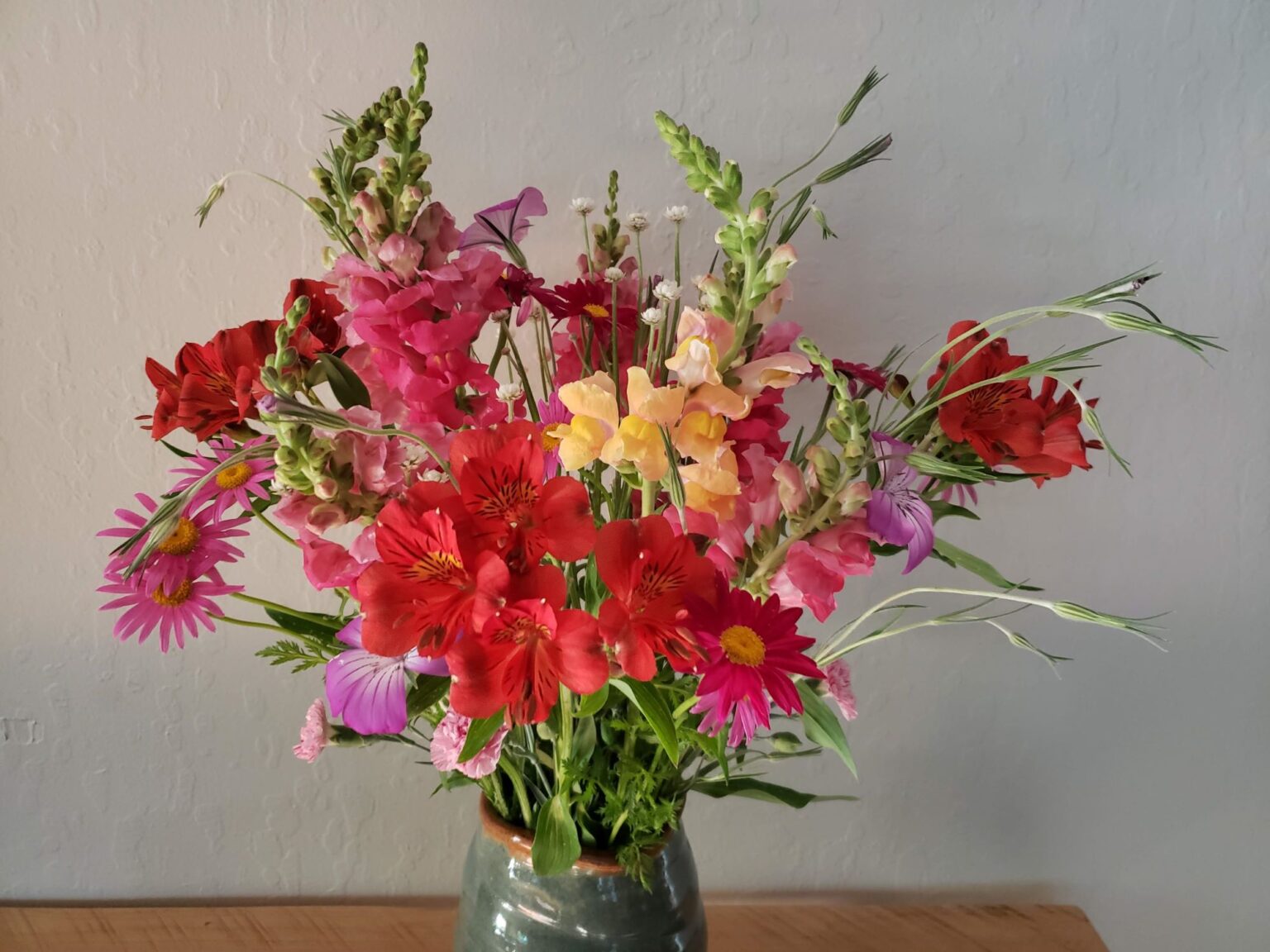 How to Grow Snapdragons for Great Cut Flowers