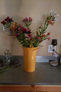 How to Harvest Cut Flowers From Your Garden